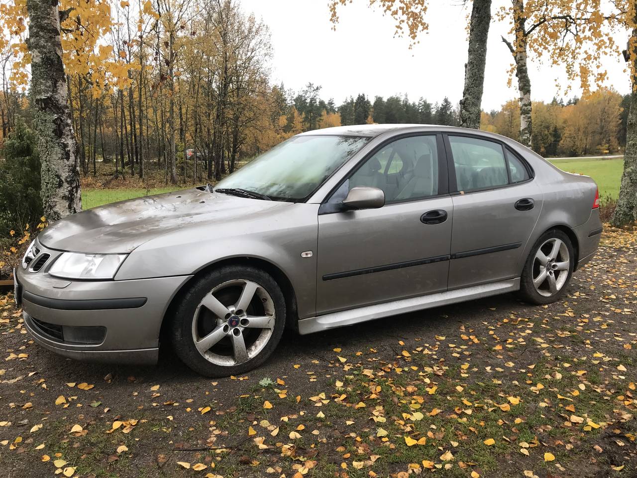 Saab 9-3 Vector SS (2003) - Garaget