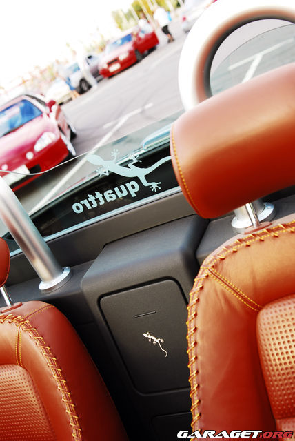 That silver Quattro gecko decal? | Audi TT Forum